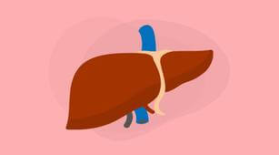 Sirosis - Pengertian, Faktor Risiko, Penyebab, Gejala, Diagnosis ...