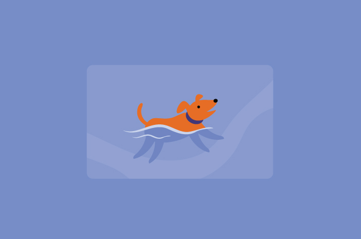 Hewan Berbulu Bisa Berkeringat, Ini Faktanya