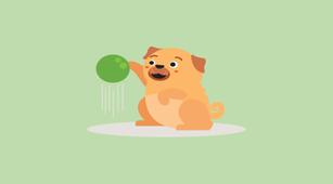 4 Trik Melatih Anjing agar Patuh sejak Kecil